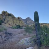 Picketpost Mountain Trail, Arizona - 2,279 Reviews, Map | AllTrails
