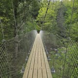 Cane Creek Falls and Suspension Bridge, Tennessee - 601 Reviews, Map ...