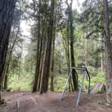 Tryon Creek Triple Bridge Loop, Oregon - 1,506 Reviews, Map | AllTrails