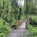 Tryon Creek Triple Bridge Loop, Oregon - 1,506 Reviews, Map | AllTrails
