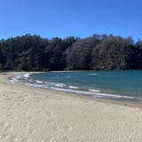 Waitaia Bay Walk, Waikato, New Zealand - 8 Reviews, Map | AllTrails