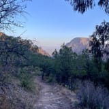 Emory Peak Trail, Texas - 2,240 Reviews, Map | AllTrails