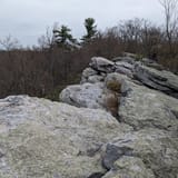 Wolf Rocks via Appalachian Trail, Pennsylvania - 890 Reviews, Map ...