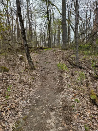 Best Moderate Trails in Pontiac Lake Recreation Area | AllTrails