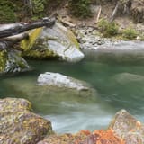 Staircase Rapids Loop, Washington - 2,453 Reviews, Map | AllTrails