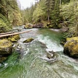 Staircase Rapids Loop, Washington - 2,471 Reviews, Map | AllTrails