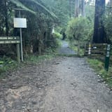 Lyrebird Walk, Neuman, Paddy, and Coles Ridge Loop, Victoria, Australia ...