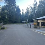 Lyrebird Walk, Neuman, Paddy, and Coles Ridge Loop, Victoria, Australia ...