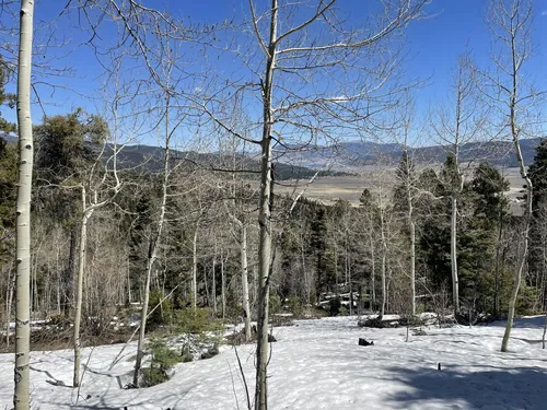 Best Kid Friendly Trails in Angel Fire | AllTrails