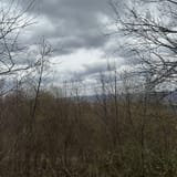 Hoye Crest (Backbone Mountain), West Virginia - 600 Reviews, Map ...