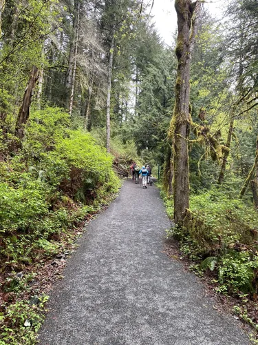 Best Hard Trails in Sooke Hills Wilderness Regional Park Reserve ...
