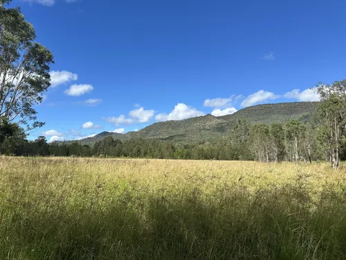 Best Moderate Trails in Glen Rock State Forest | AllTrails