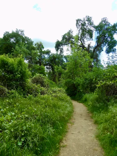 Best Forest Trails in Ripon | AllTrails