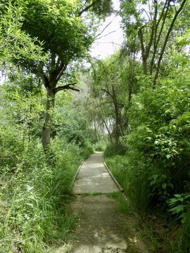 Best Forest Trails in Ripon | AllTrails