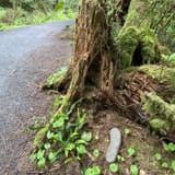 Short Sand Beach Trail, Oregon - 757 Reviews, Map | AllTrails