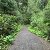 Short Sand Beach Trail, Oregon - 757 Reviews, Map | AllTrails