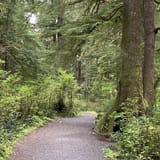 Short Sand Beach Trail, Oregon - 757 Reviews, Map | AllTrails