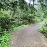 Short Sand Beach Trail, Oregon - 757 Reviews, Map | AllTrails