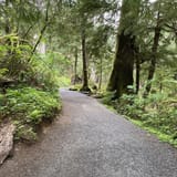 Short Sand Beach Trail, Oregon - 757 Reviews, Map | AllTrails