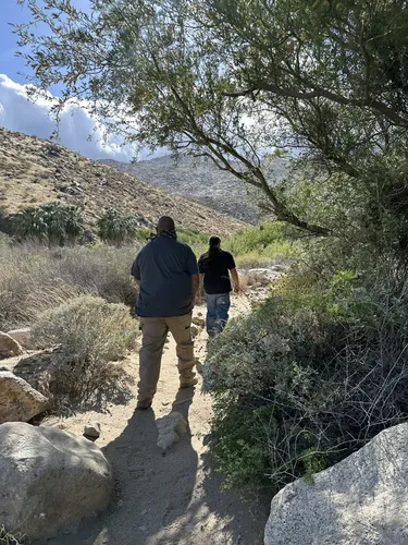 Best Hikes and Trails in Cahuilla Native American Land - Indian Canyons ...