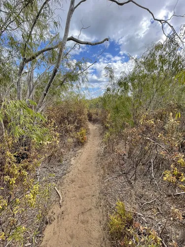 Best Historic Site Trails in Leeuwin-Naturaliste National Park | AllTrails