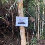 Lata Gapi Waterfall, Selangor, Malaysia - 262 Reviews, Map | AllTrails