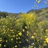 Burma Road, Peacock Flats and Ishibashi Trail Loop, California - 930 ...