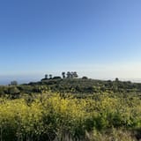 Burma Road, Peacock Flats and Ishibashi Trail Loop, California - 986 ...