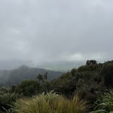 Mount Pirongia via Tirohanga and Mahaukura Tracks, Waikato, New Zealand ...