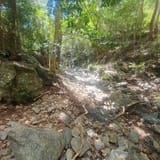 Mount Coot-tha Loop via Powerful Owl Trail, Queensland, Australia - 748 ...