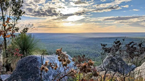 Best Hikes and Trails in Darling Range | AllTrails