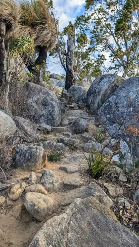Best Hikes and Trails in Darling Range | AllTrails