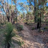 Mount Cooke Loop, Western Australia, Australia - 597 Reviews, Map ...