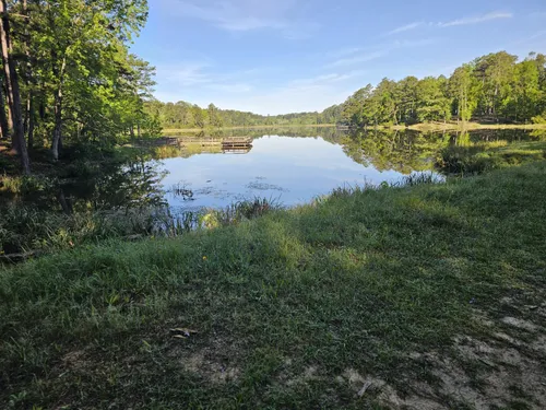 Best Forest Trails in Elmer | AllTrails