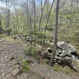 Rose River Trail, Virginia - 4,597 Reviews, Map | AllTrails