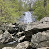 Cedar Run Trail to White Oak Fire Road Loop, Virginia - 1,515 Reviews ...