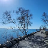 Colchester Causeway Trail, Vermont - 909 Reviews, Map | AllTrails