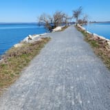 Colchester Causeway Trail, Vermont - 909 Reviews, Map | AllTrails
