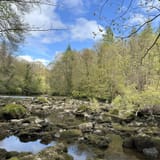 Hackfall Explorer, North Yorkshire, England - 428 Reviews, Map | AllTrails