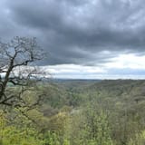 Hackfall Explorer, North Yorkshire, England - 428 Reviews, Map | AllTrails