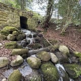 Hackfall Explorer, North Yorkshire, England - 428 Reviews, Map | AllTrails
