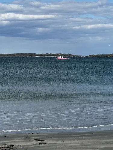 Best Beach Trails in Taylor Head Provincial Park | AllTrails