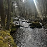 Audubon Loop Trail, Pennsylvania - 1,507 Reviews, Map | AllTrails