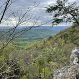Lewis Spring Falls Trail, Virginia - 1,451 Reviews, Map | AllTrails