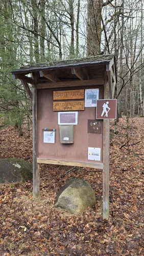 Best Off Road Driving Trails in New York | AllTrails