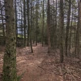 Longdendale Trail Circular, Derbyshire, England - 167 Reviews, Map ...