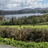 Lough Eske Nature Loop, County Donegal, Ireland - 137 Reviews, Map ...
