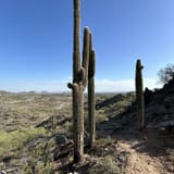 Dreamy Draw Loop Trail, Arizona - 1,164 Reviews, Map | AllTrails