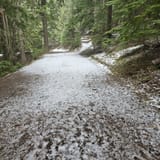 Mount Kit Carson Trail, Washington - 968 Reviews, Map | AllTrails