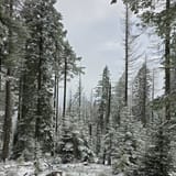 Mount Kit Carson Trail, Washington - 968 Reviews, Map | AllTrails